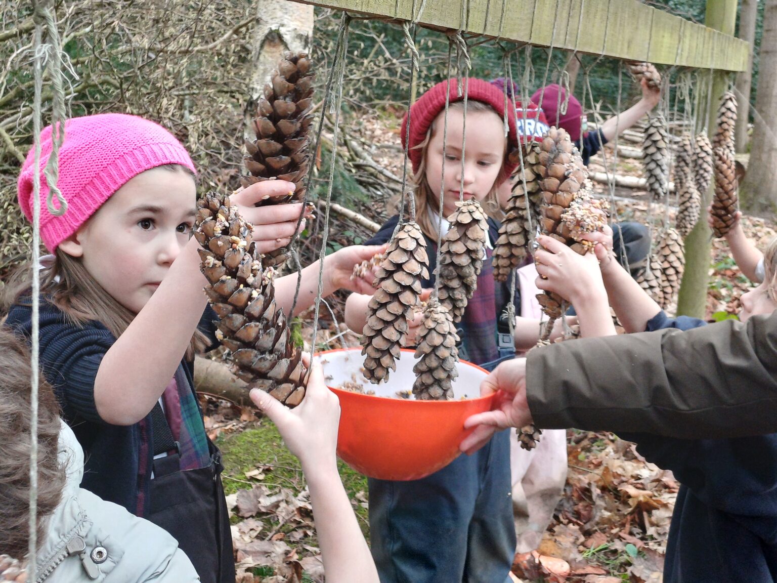 Pre-prep Forest School – Feed the birds! - Barrow Hills