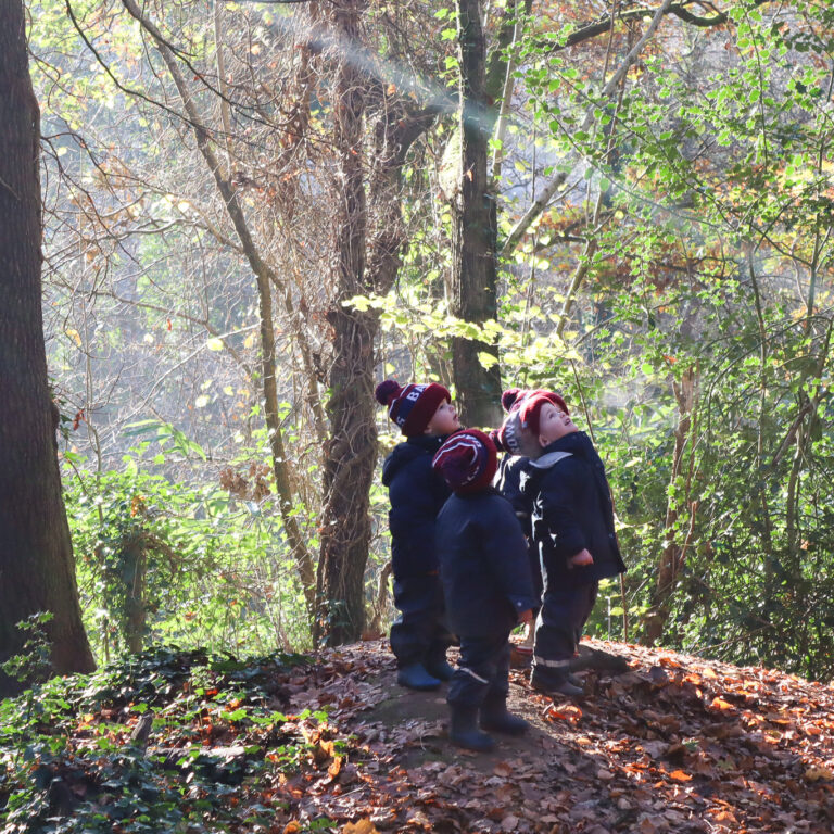 Nursery | Private Nursery Surrey | Barrow Hills